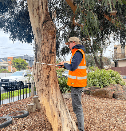 About Us | Canopy Tree Care