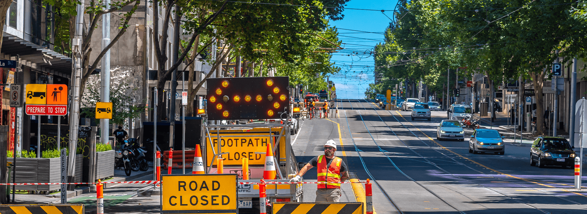 Gallery | Canopy Tree Care